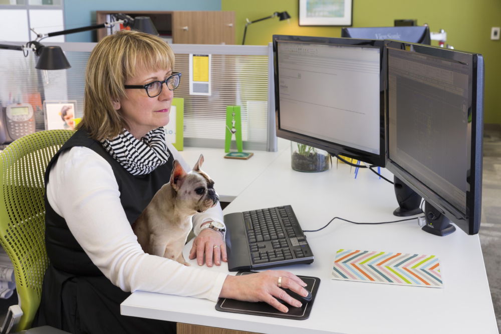 Bring Your Dog to Work Day | Creative Business Interiors